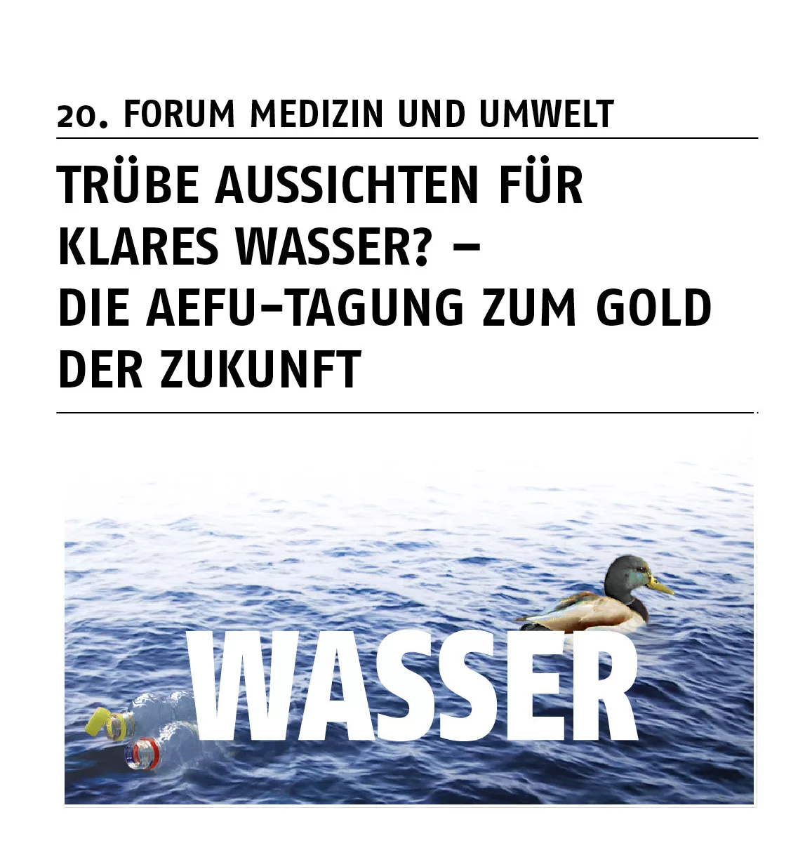 Trübe Aussichten für klares Wasser? – die AefU-Tagung zum Gold der ...